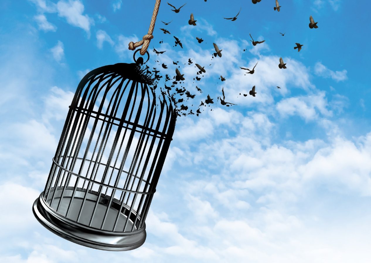 What is a Dry House? Understanding Their Role in Recovery