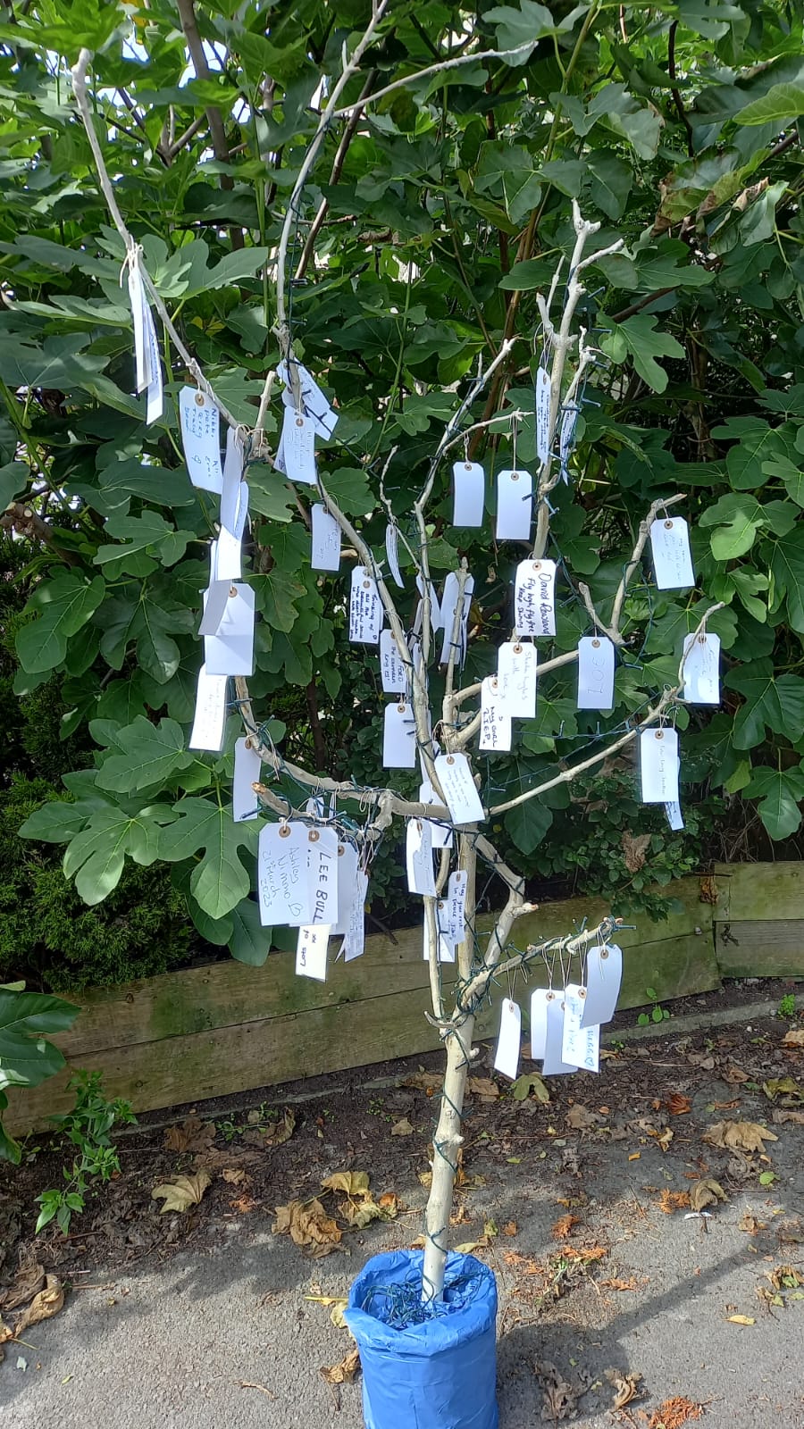 Memorial Tree - In Remembrance - Broadway Lodge